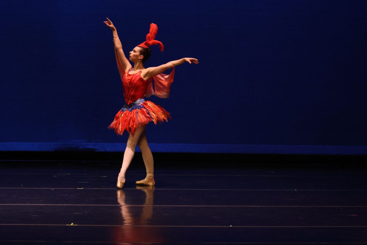 Home - Ballet Vero Beach